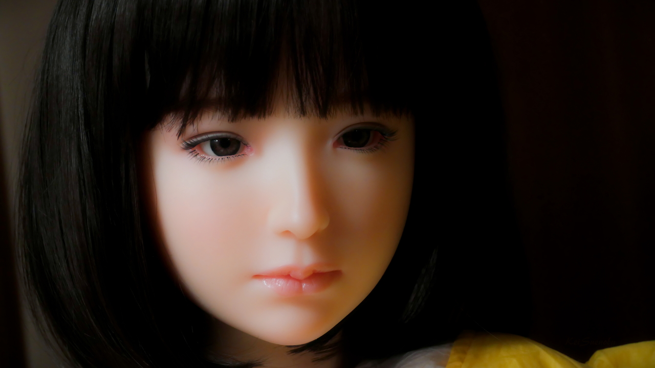 月例のまとめ 7月 - The quiet beauty of the doll