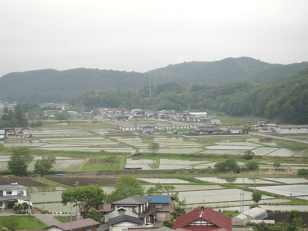 To whet or too wet? - the cheese