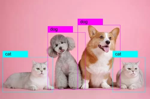 RustのドローイングライブラリPlottersの紹介 - GO Tech Blog