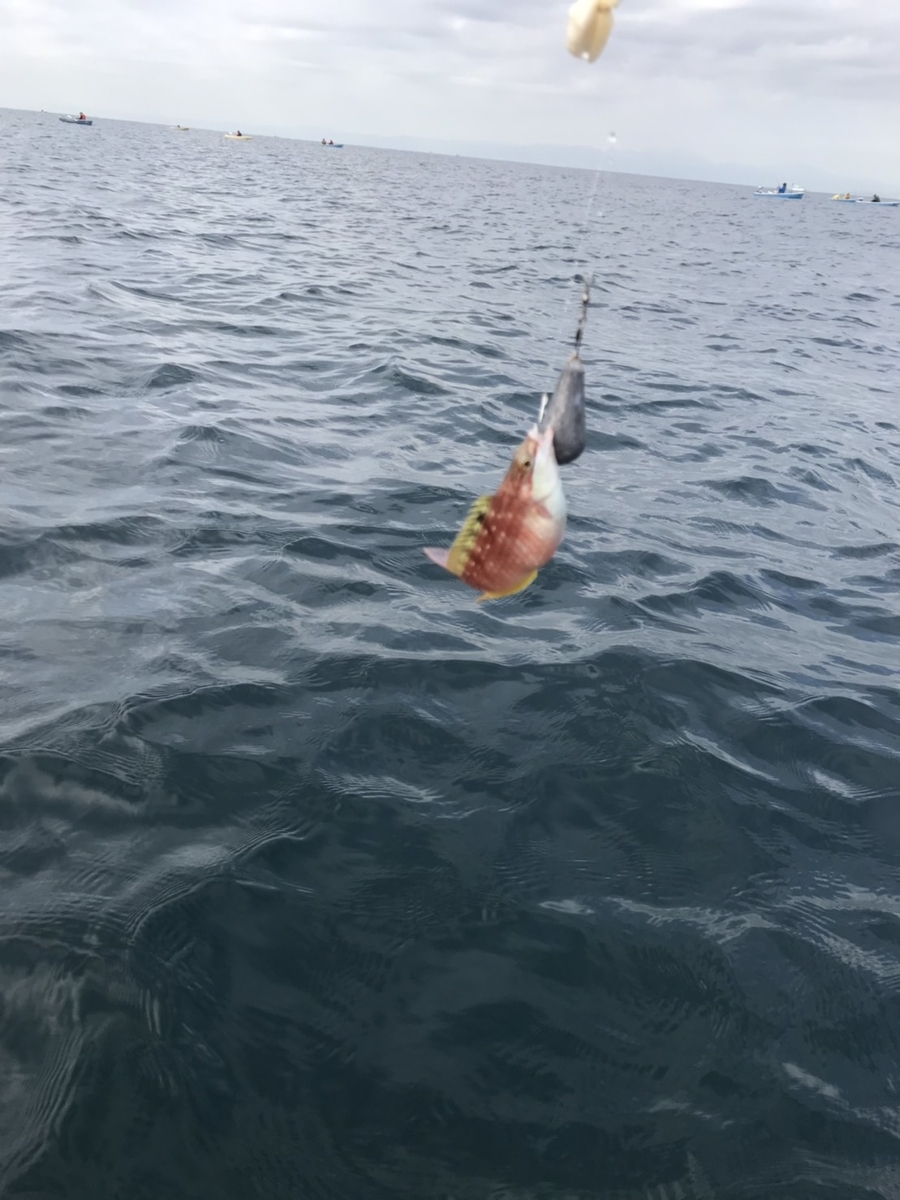 【2019/11/2】オオモリボートでINADAフェスに参加？ - ねーさん団の釣り日記