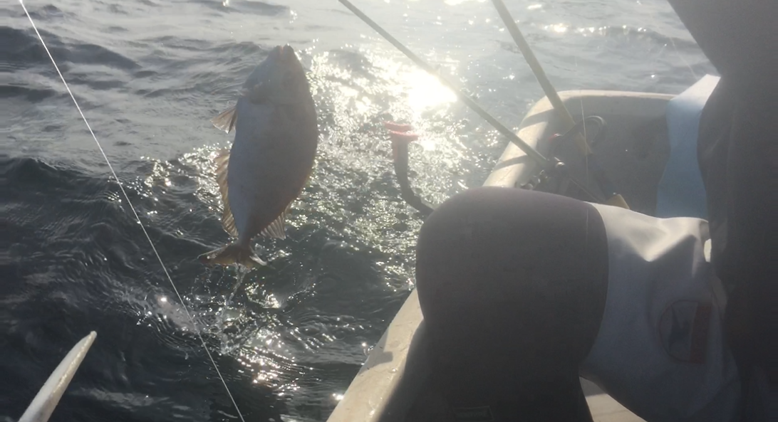 【2019/11/2】オオモリボートでINADAフェスに参加？ - ねーさん団の釣り日記