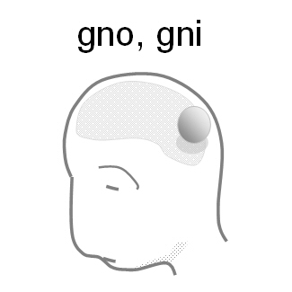 133 gno, gni 「知る、認識する」 L.gnoscere - 語源の広場