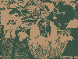 WPF、前回の64bppとかの画像ファイルを読み込んでPixelFormatを確認してみた - 午後わてんのブログ