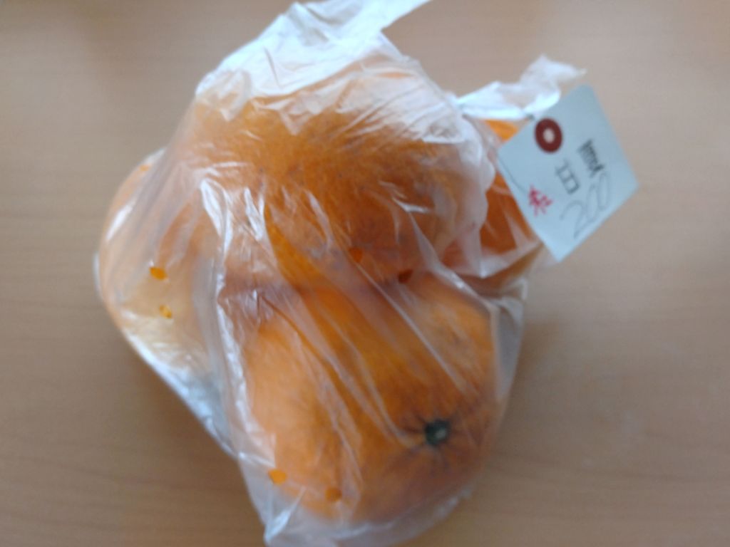 2024年5月 大芝島一周（広島県） - ごま塩オヤジの全国探訪記