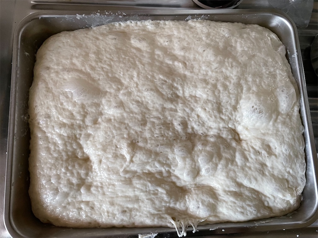 天然酵母を使ってパン作り第2回目 - gorod’s diary