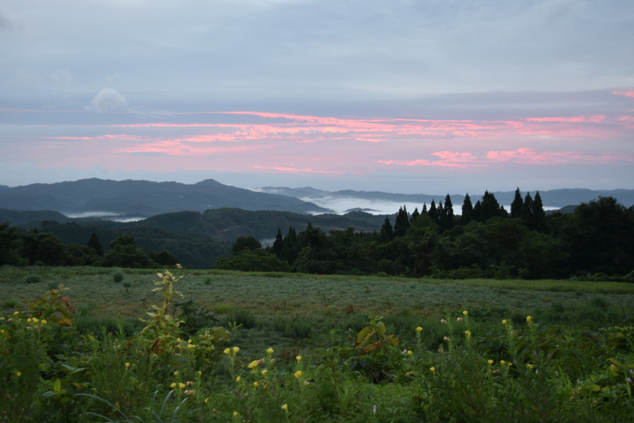 【旅行記】黄桜すい合宿2.5 2日目・前編 - きっと私の風が吹く