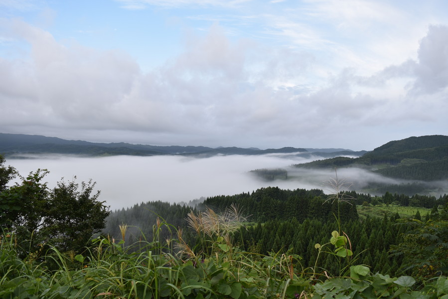 【旅行記】黄桜すい合宿2.5 2日目・前編 - きっと私の風が吹く