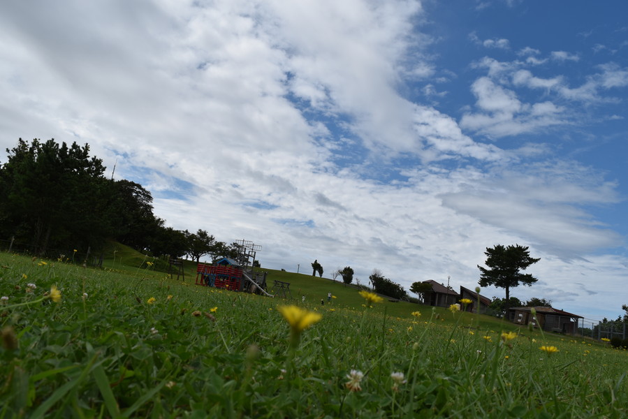 【旅行記】黄桜すい合宿2.5アフター 3日目・由利本荘市内周遊編 - きっと私の風が吹く