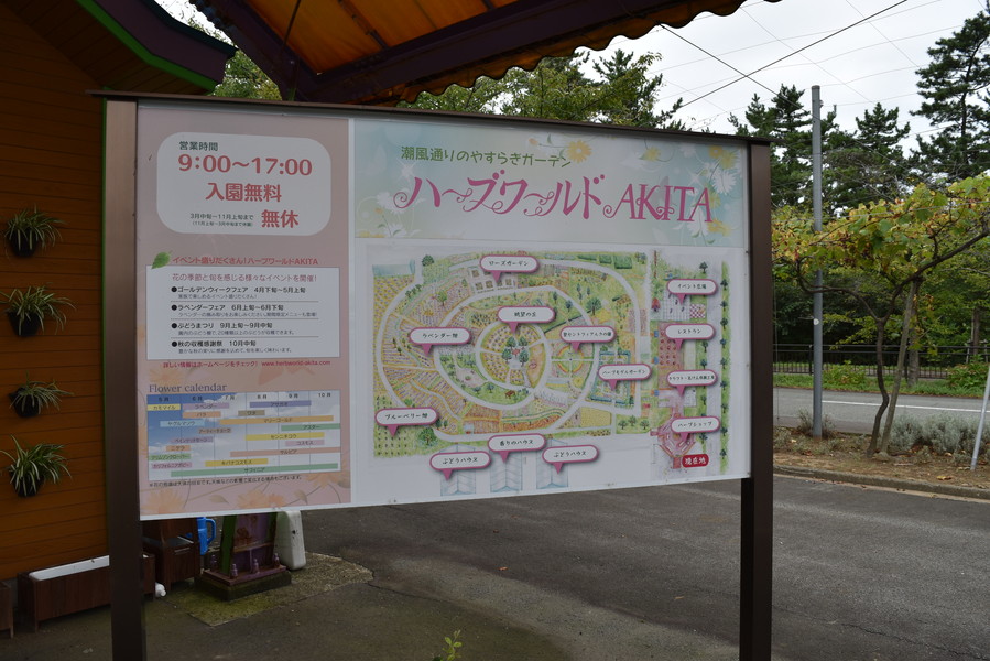 【旅行記】黄桜すい合宿2.5アフター 3日目・由利本荘市内周遊編 - きっと私の風が吹く