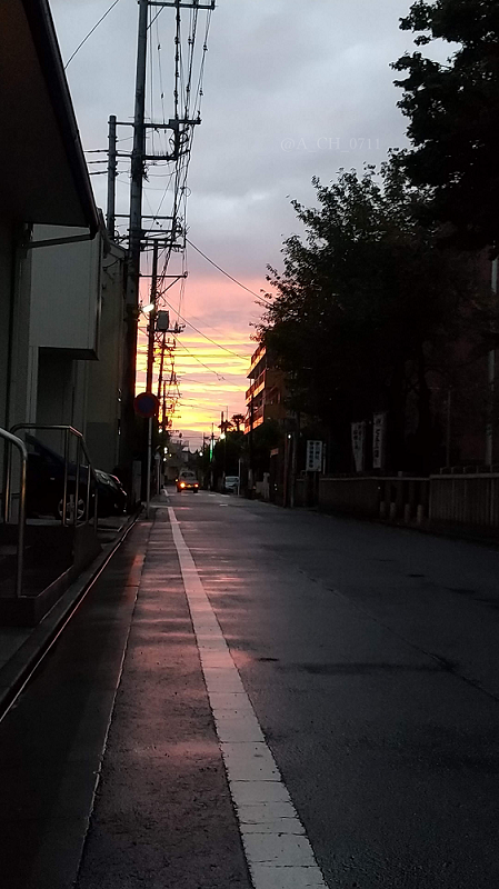 【雑記】近況報告とかそういう - きっと私の風が吹く