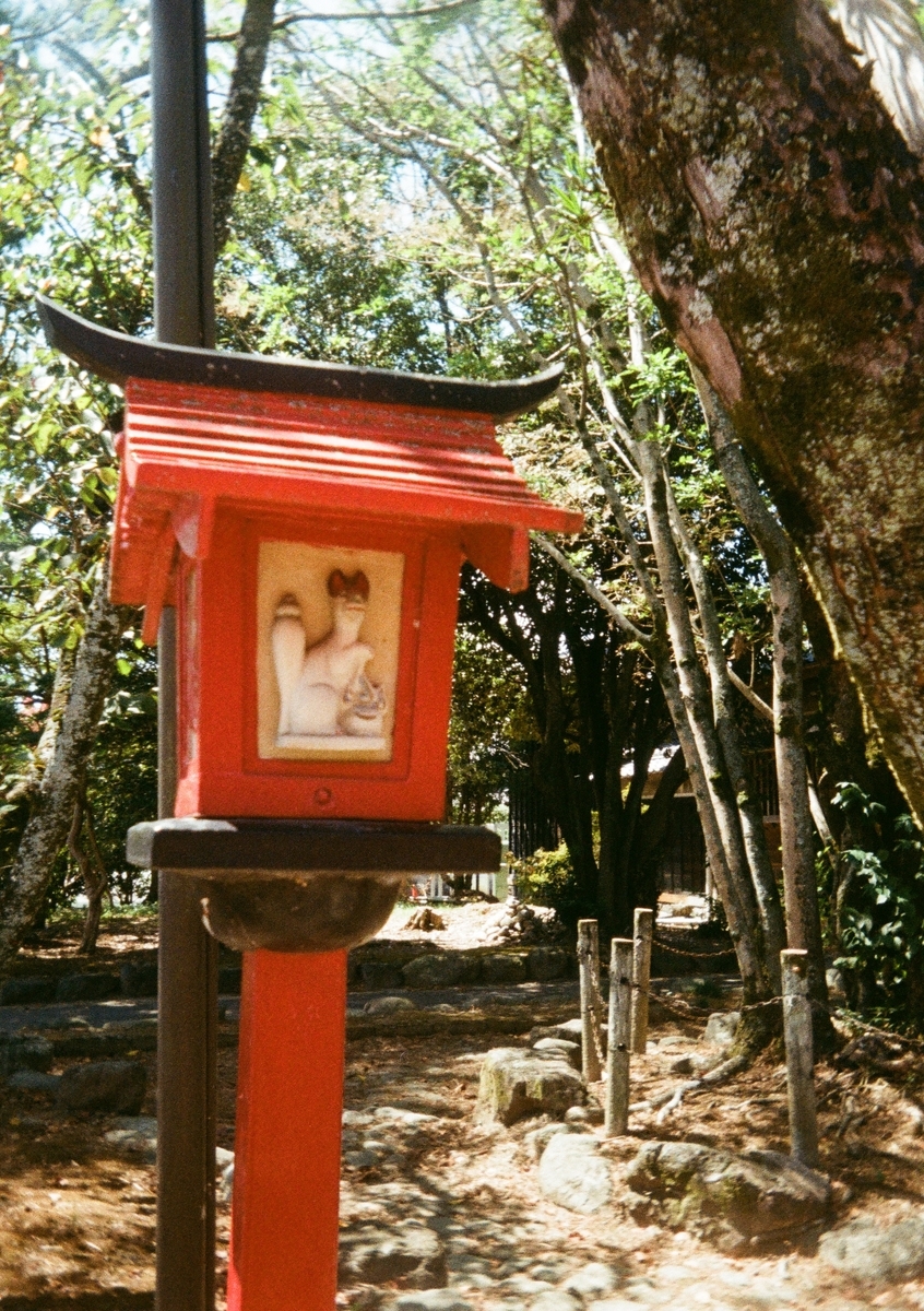 Kodak Ektar H35とKodak Ektar H35Nの使用レビュー。作例など - ちびっこロードスターライフ