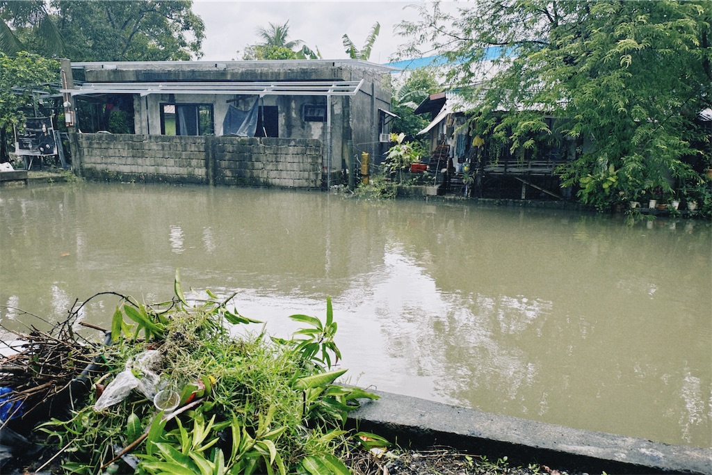 台風による洪水被害がひどい - こころhalohalo