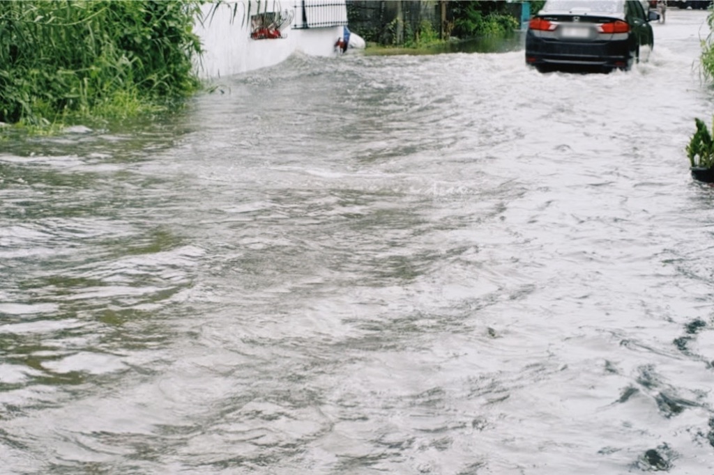 台風による洪水被害がひどい - こころhalohalo
