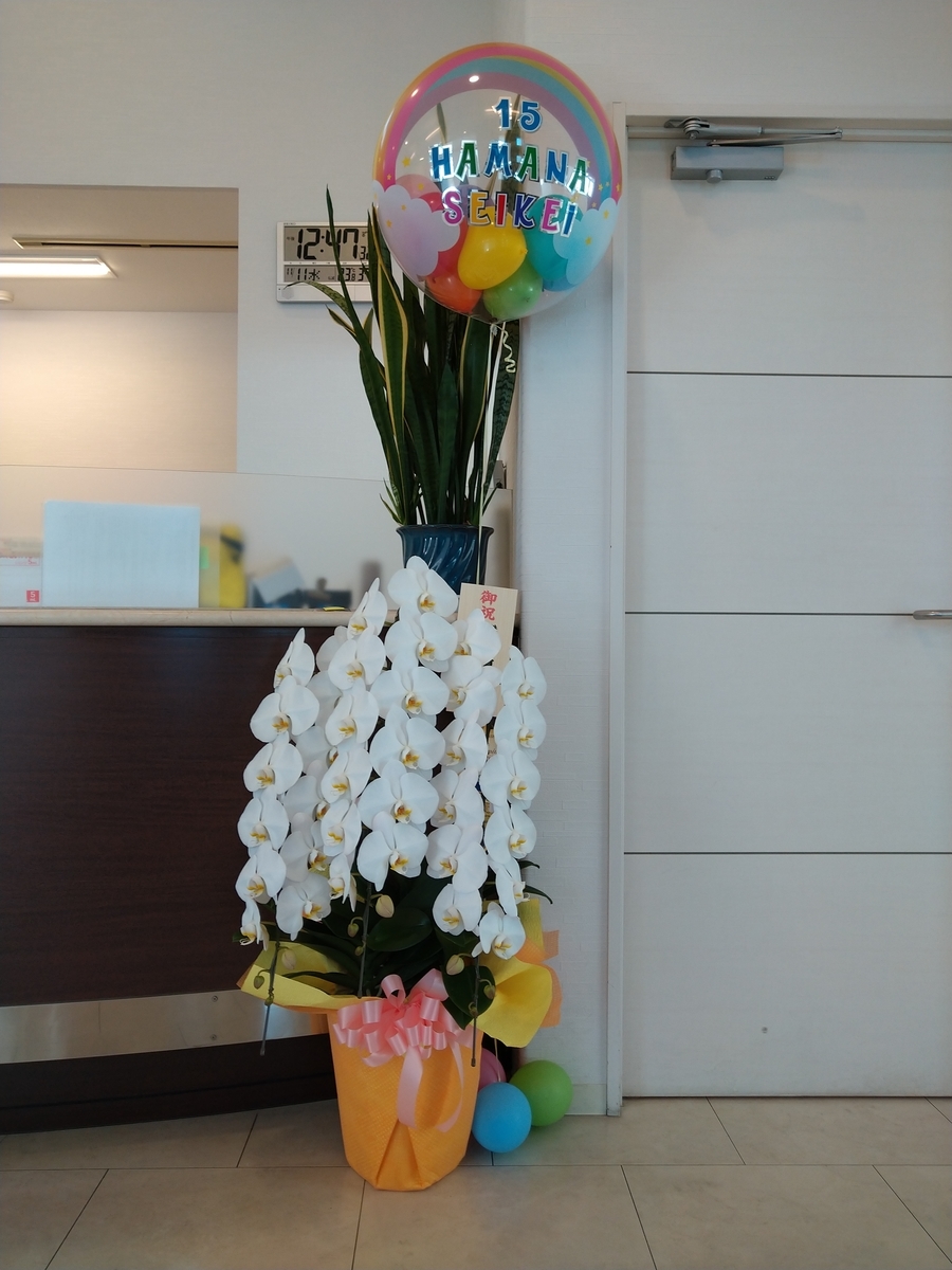 紹介シリーズ（8）・と、もう1つ - hamanaseikeiのブログ