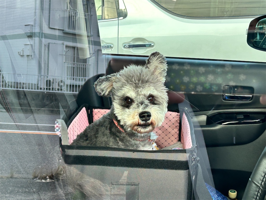 hamanaseikeiのブログ