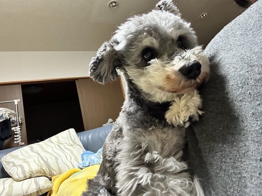 hamanaseikeiのブログ