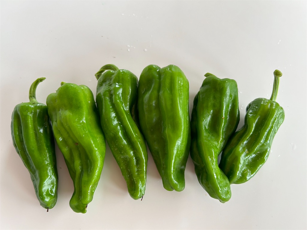 hana-pippyのブログ