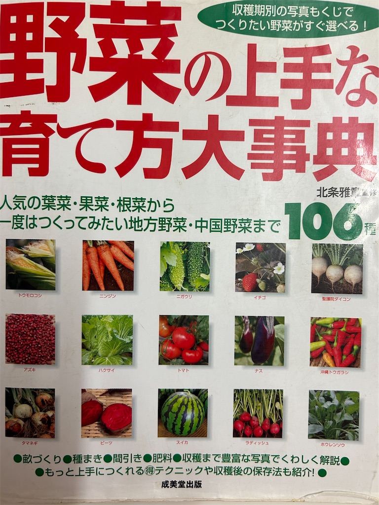 hana-pippyのブログ