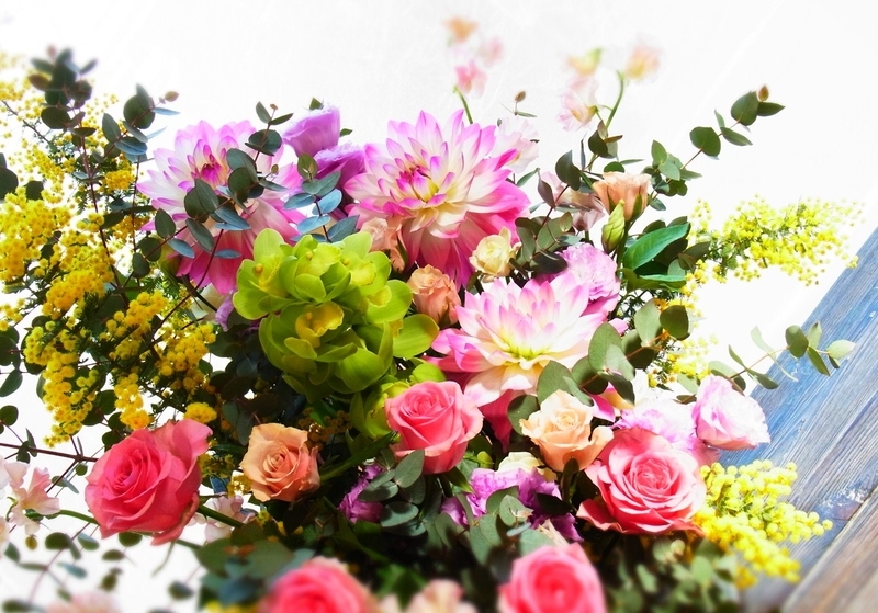 おめでとうございます - 花屋ふた葉 hanaya-futaba’s blog