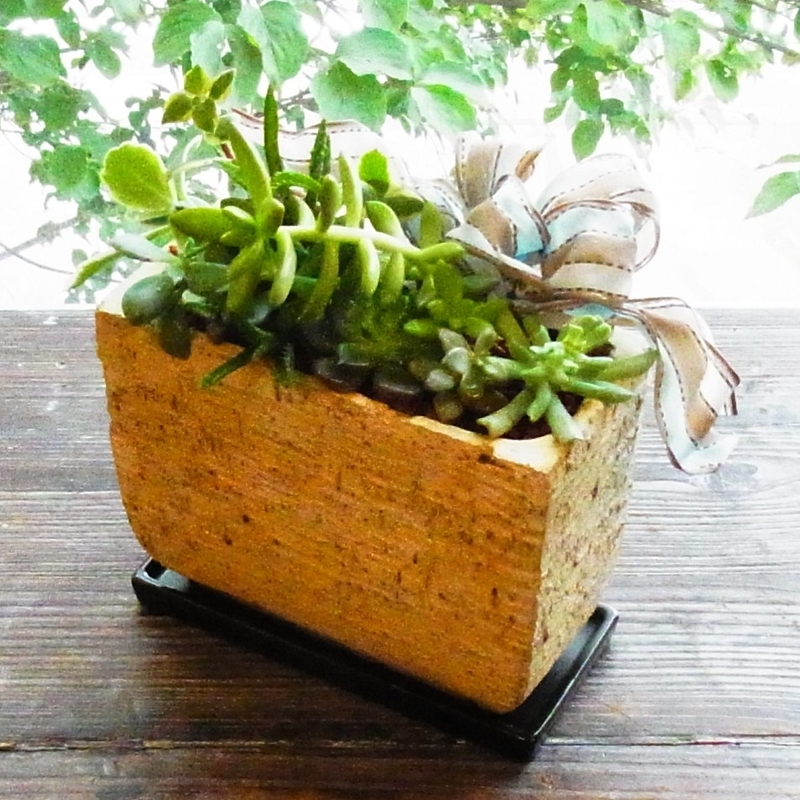 まいにち花屋 - 花屋ふた葉 hanaya-futaba’s blog