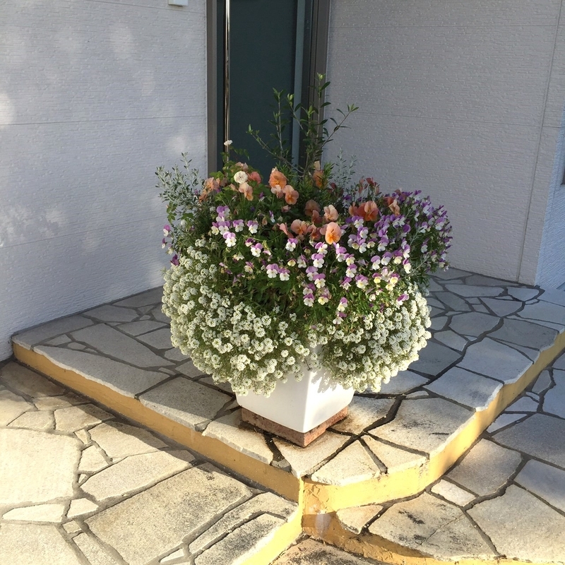 咲き続ける理由 - 花屋ふた葉 hanaya-futaba’s blog
