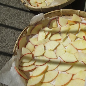 リンゴ干し - ノコノオト noko_note