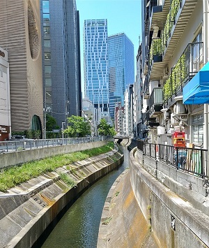 ノコノオト noko_note