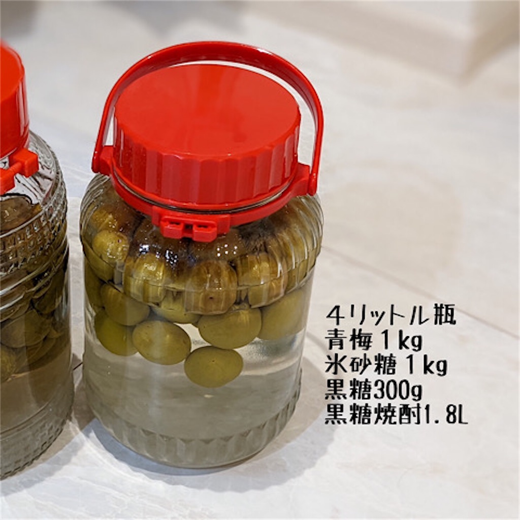 【遊び】梅もぎ体験＆梅ジュースと梅酒作り！ - ハリマくんの家