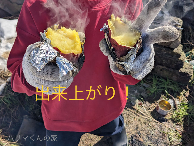 【遊び】ペール缶とソロストーブで美味しい焼き芋作り - ハリマくんの家