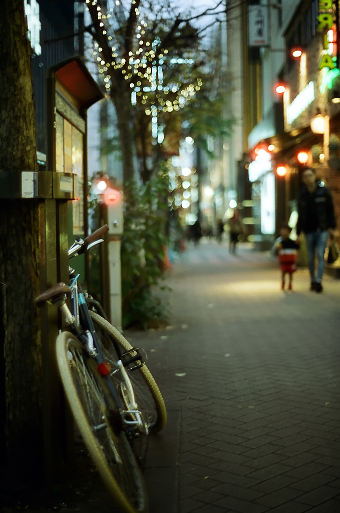 CineStill 作例 - Out Focus