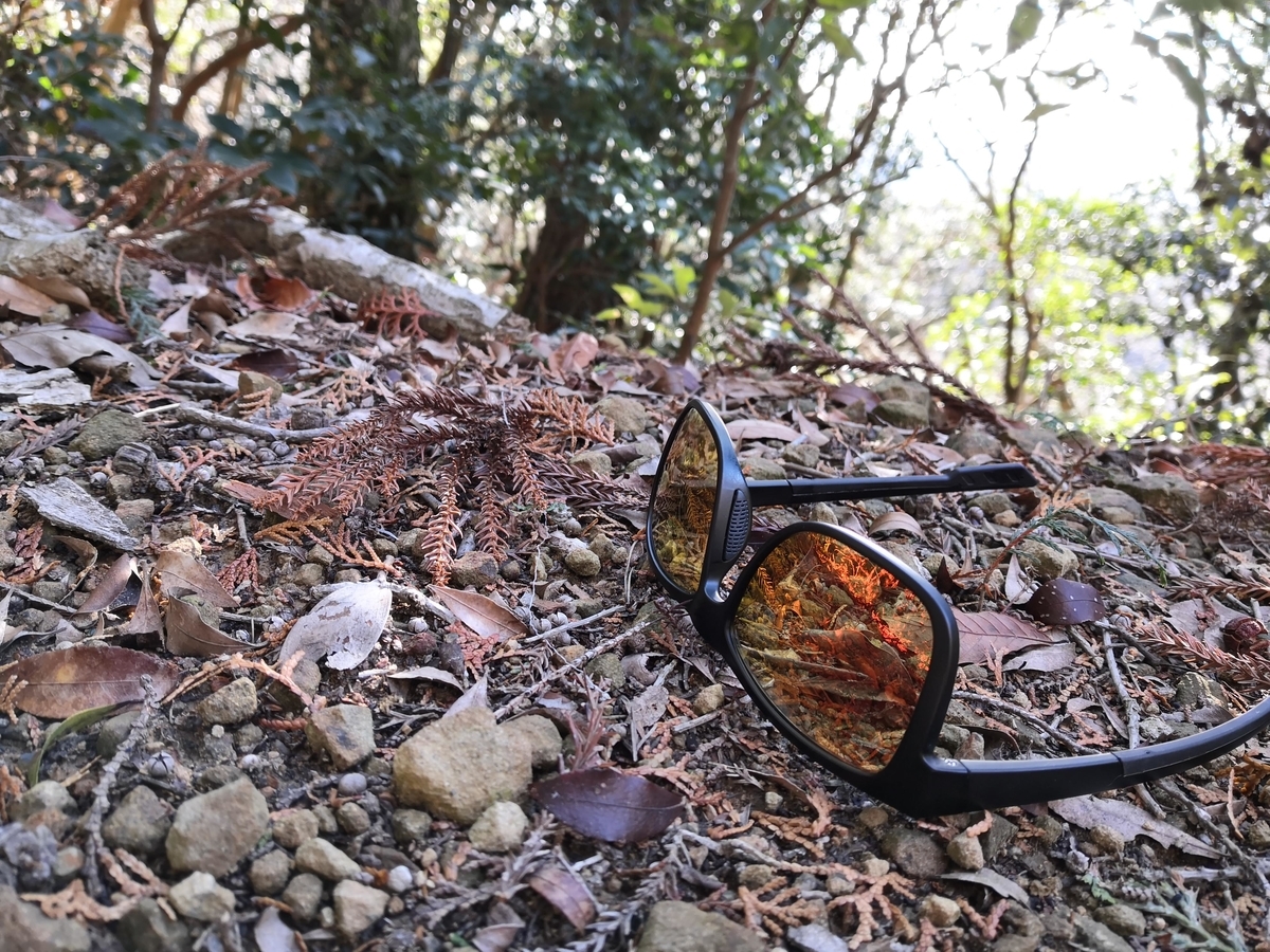 HATCH Sunny ご予約販売スタート - HATCH DIARY