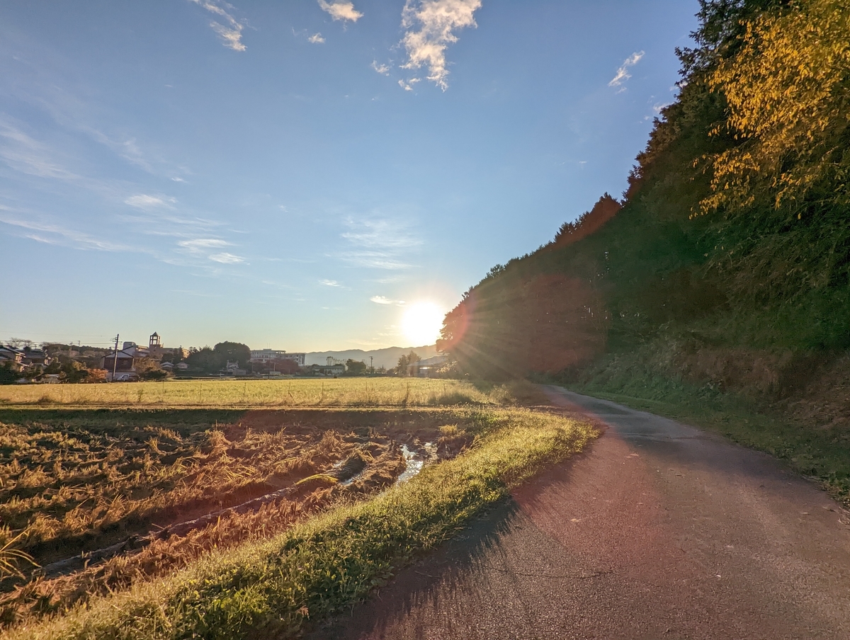 テンパる - HATCH DIARY