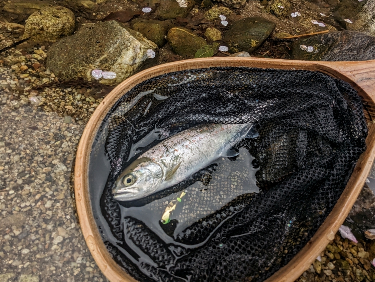 雨の塩瀬BASEへ - HATCH DIARY