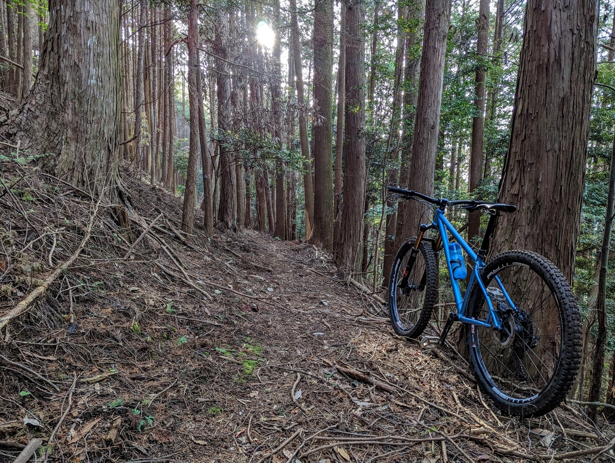 MTG DAY - HATCH DIARY