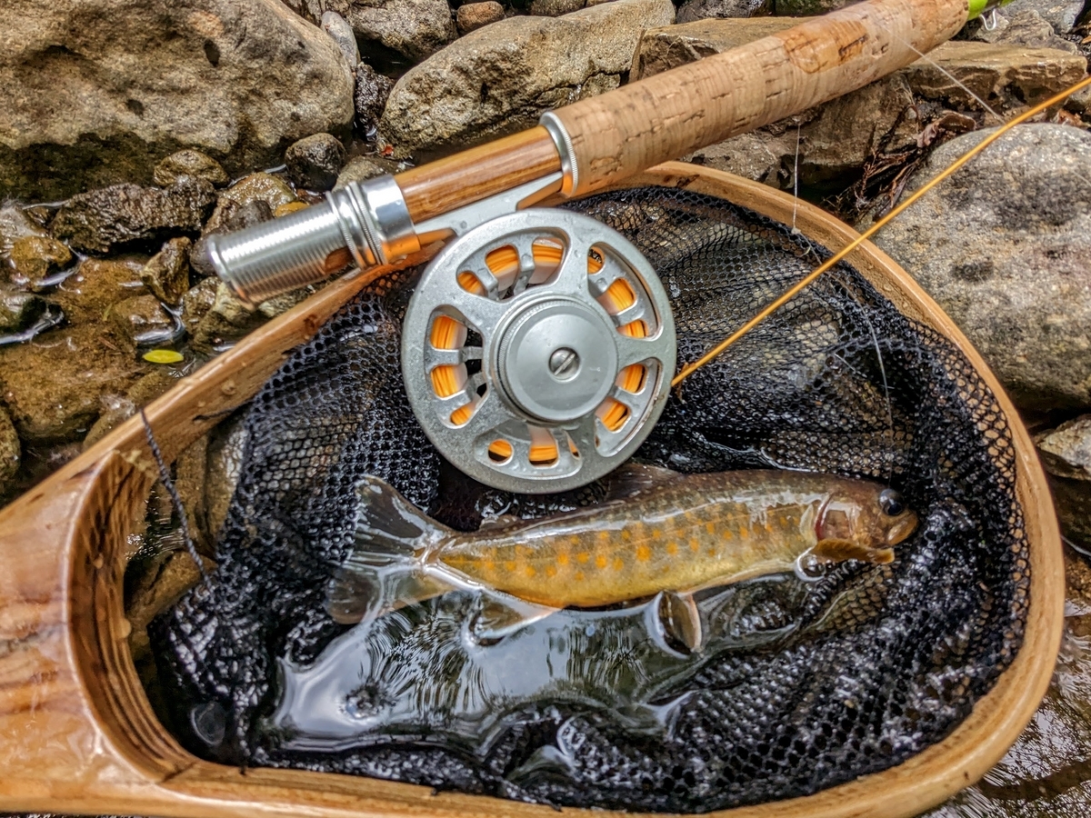 Trout Fishing - HATCH DIARY