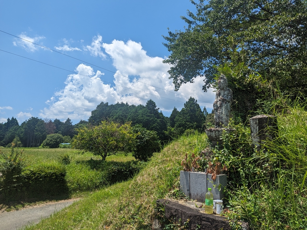 日帰り新城 - HATCH DIARY