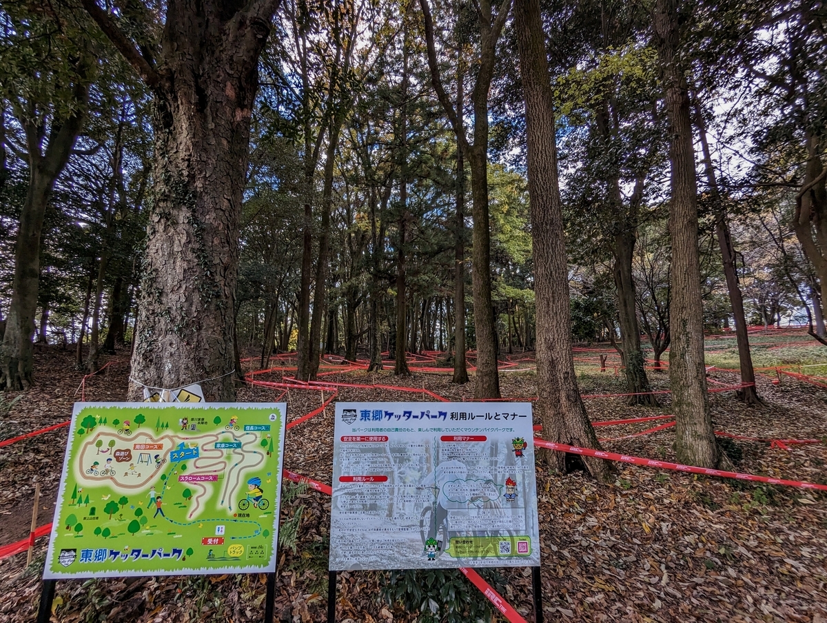 Kick off!! - HATCH DIARY