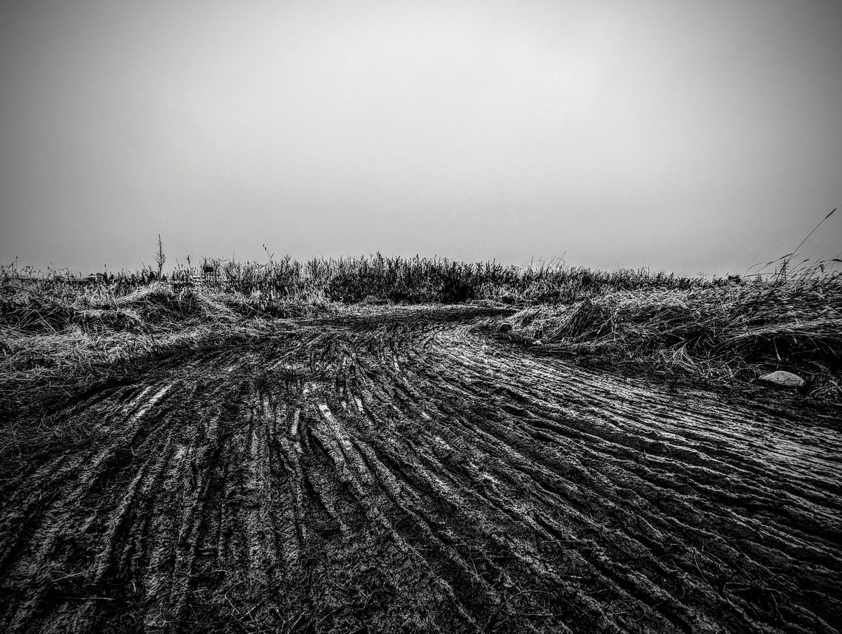 東海CX第4戦 根尾川スポーツ広場お疲れ様でした！ - HATCH DIARY