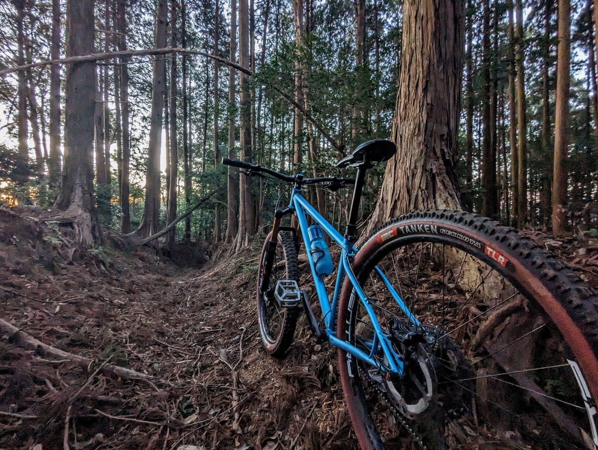 Magic Hour - HATCH DIARY