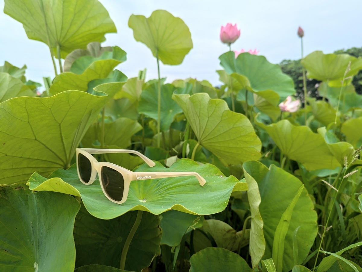 今週もデュアルライフスタート - HATCH DIARY