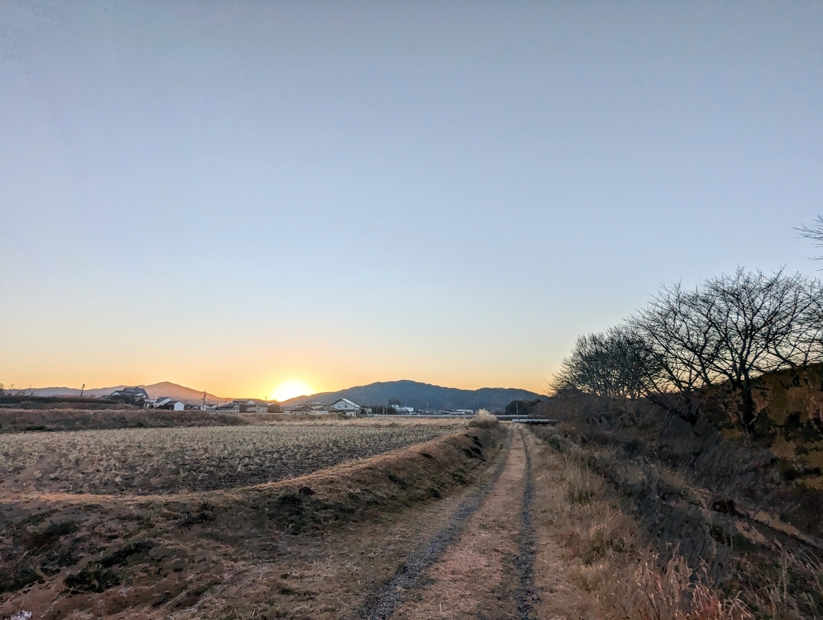 成長期 - HATCH DIARY