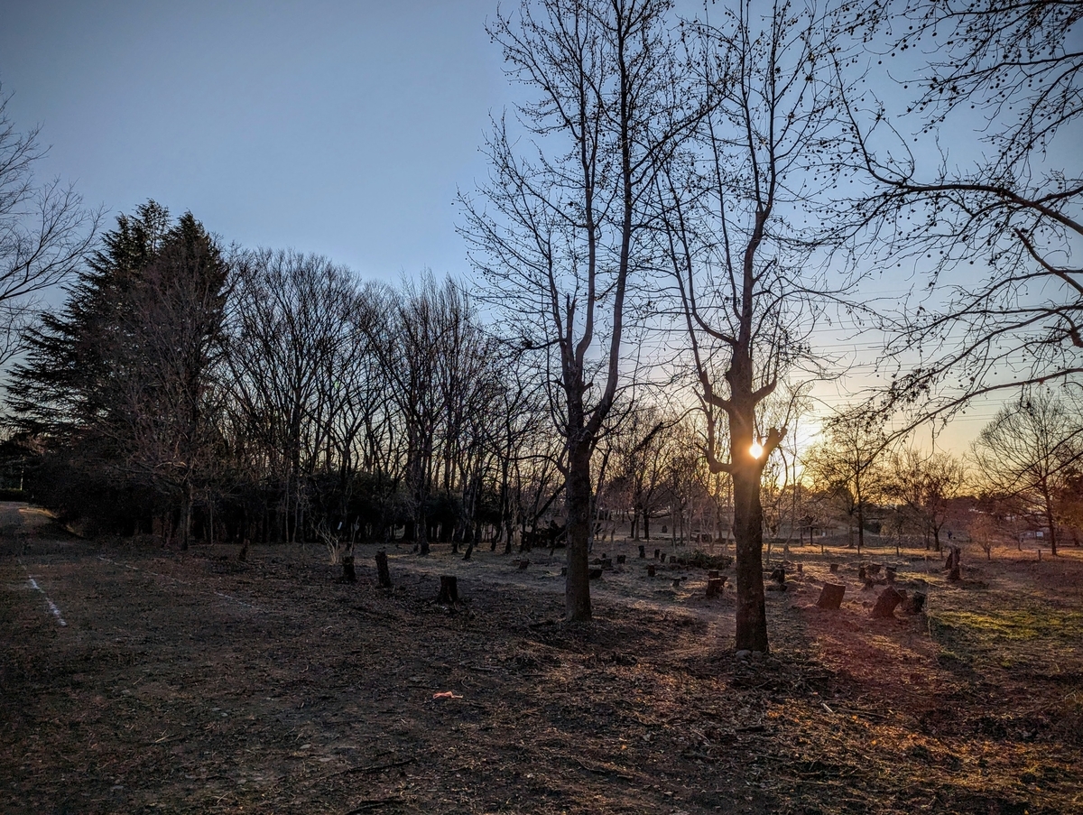 東海CX 大野極楽寺公園ありがとうございました！ - HATCH DIARY