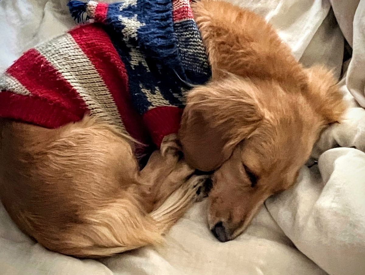 サポート - HATCH DIARY