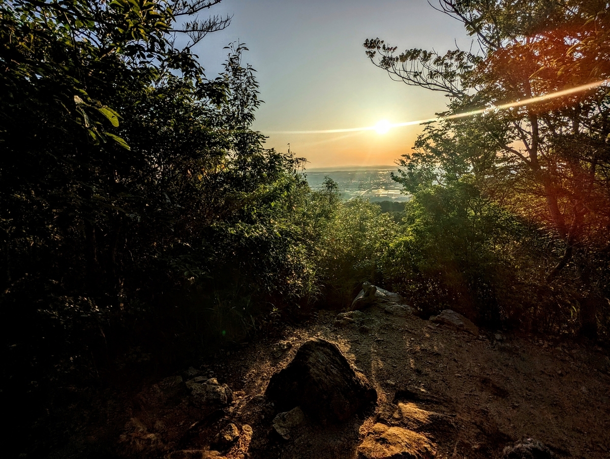 NEXT STAGE - HATCH DIARY