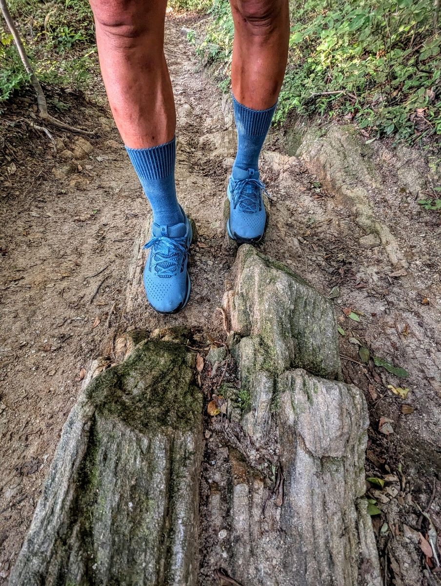 NEXT STAGE - HATCH DIARY