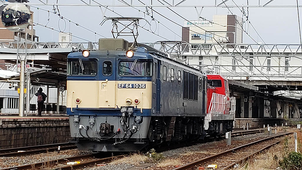 リベンジ・フォト 国鉄色のEF64 1036 - 気ままな 汽車好き