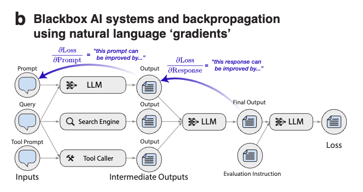 【備忘】TextGrad: Automatic "Differentiation" via Text - DROで学位を取るまでの軌跡