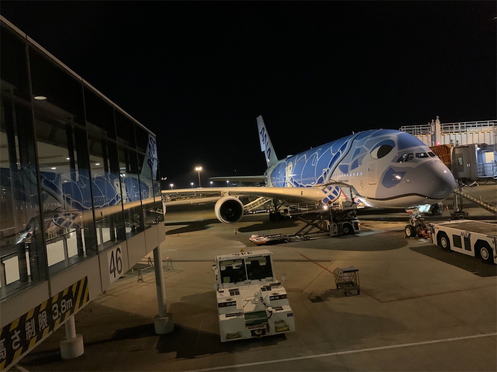 FLYING HONU（フライング・ホヌ）でハワイへ！！ - フォトジェニックな旅行log