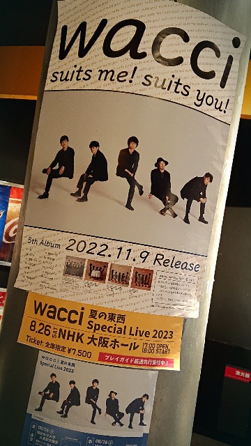 【感情】wacci Live Tour 2023 ~growing~@Zepp Namba(OSAKA) - お父さんは サイエンスファシリテーター