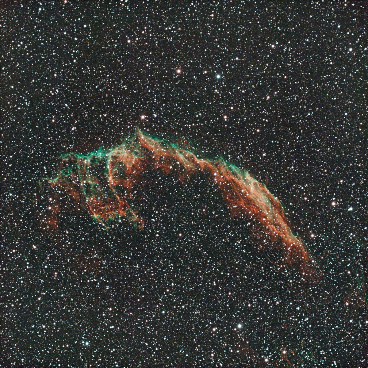 IC1340 はくちょう座 網状星雲 - 明日撮ろ写真